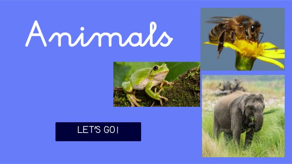 ANIMALS | Genially
