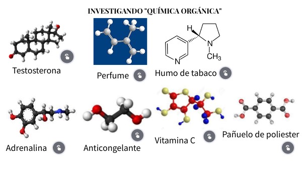 Galería interactiva