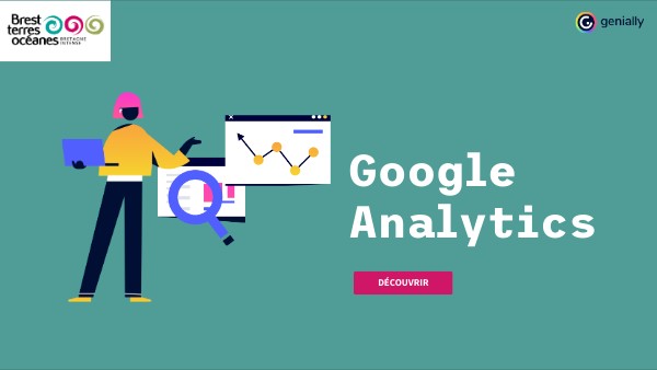 Louvet Loan Google Analytics
