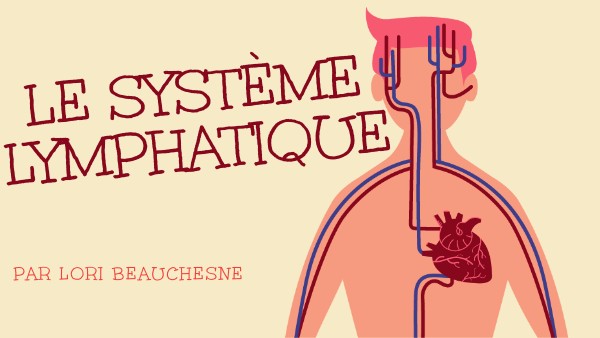 Système lymphatique 1