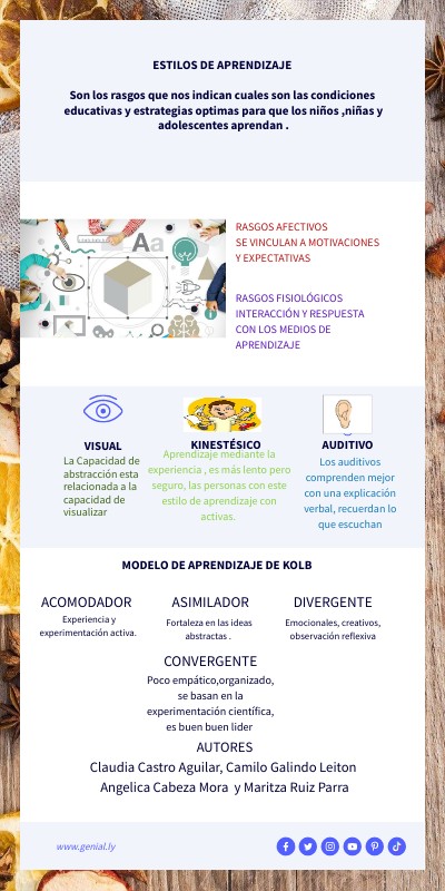 INFOGRAFÍA -ESTILOS DE APRENDIZAJE | Genially