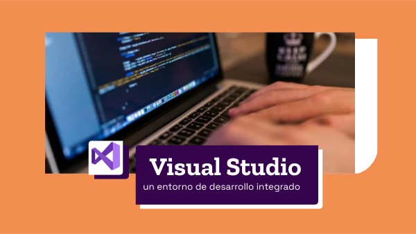 visual studio Wilfred Toledo
