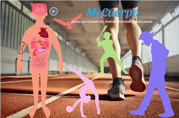 Los Sistemas Del Cuerpo | Genially