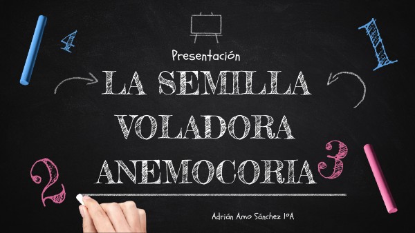 PRESENTACIÓN LA SEMILLA VOLADORA ANEMOCORIA