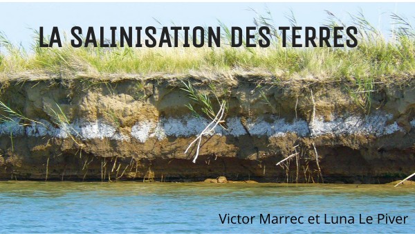 Copie - BASIC PRESENTATION