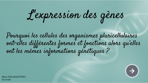 L'expression des gènes | Genially