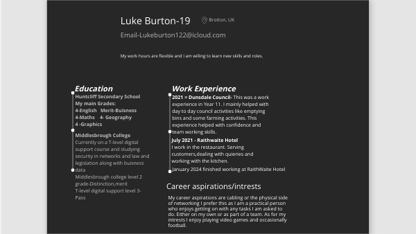 luke burton CV