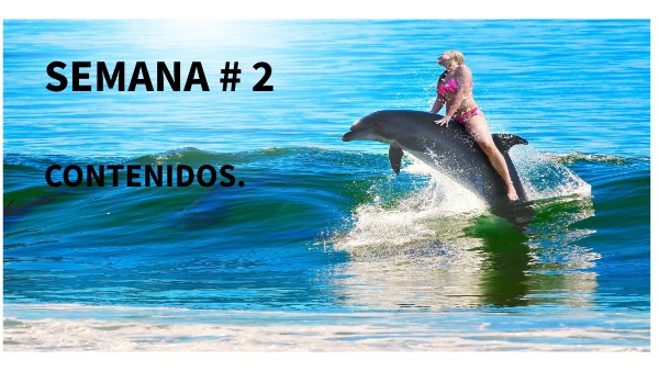 Semana # 2unidad 6 Séptimo | Genially