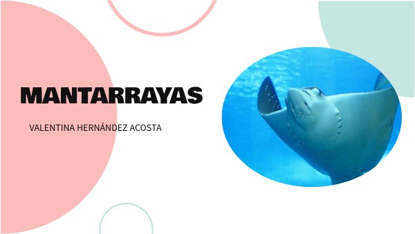 PRESENTACIÓN MANTARRAYAS | Genially