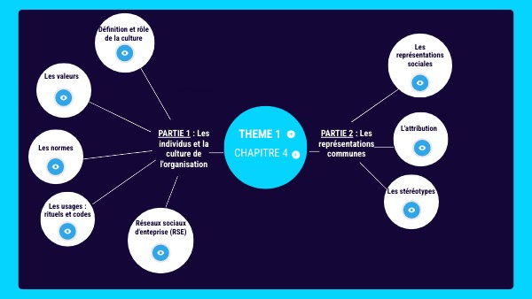 CHAPITRE 4 SDGN | Genially