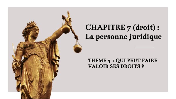 CHAPITRE 7 (droit) : La personne juridique | Genially