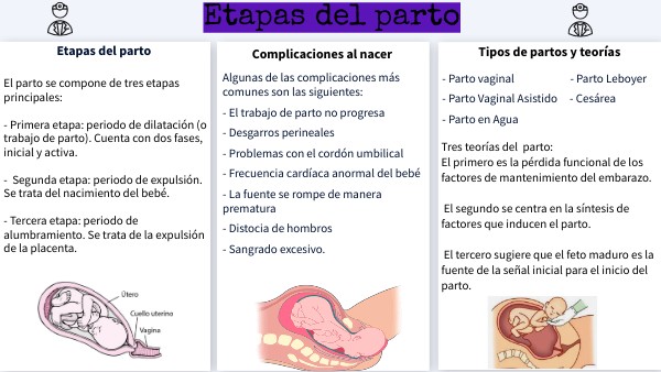 Etapas del parto | Genially