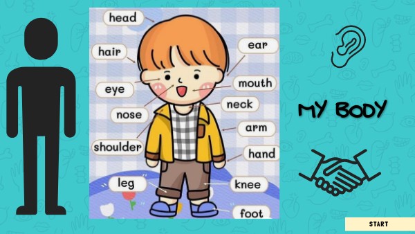 MY BODY | Genially