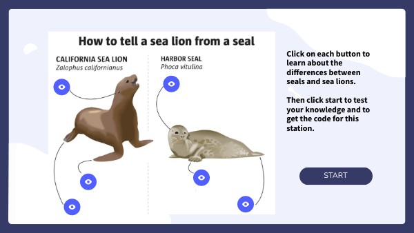 Seal vs. Sea Lion