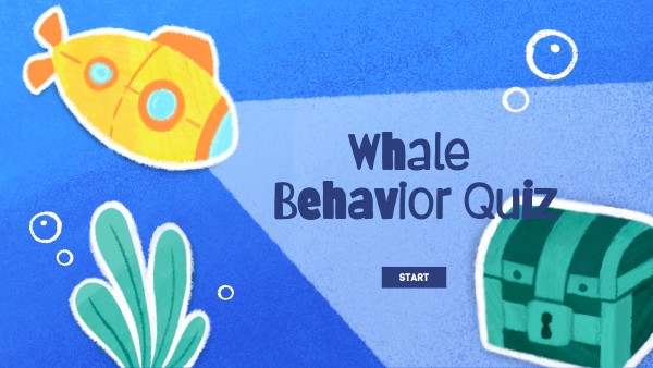 Whale Behaviors