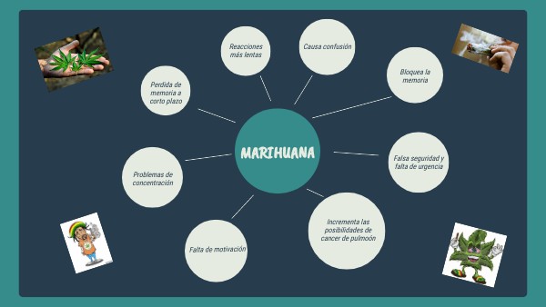 MAPA CONCEPTUAL CIRCULAR