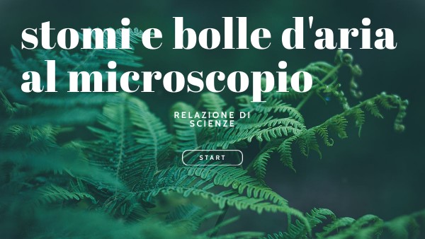 Gli stomi | Genially