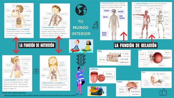 MI MUNDO INTERIOR | Genially