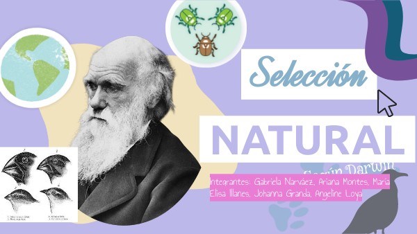 Selección Natural | Genially