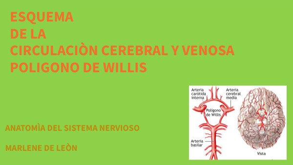 ESQUEMA DEL CEREBRO | Genially