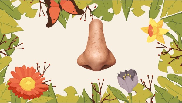 Spring there is /are | Genially