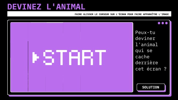 Devinez l'animal | Genially