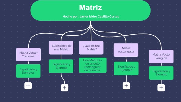 Mapa Mental esquema Vertical