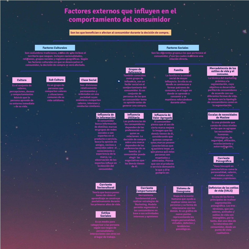 MAPA CONCEPTUAL FACTORES EXTERNOS