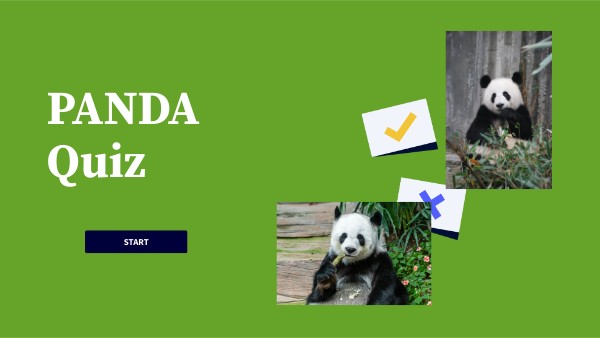 Panda Quiz