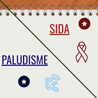 svt sida vs paludisme | Genially