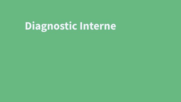 Diagnostic Interne