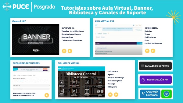 Infografía de Uso de Plataformas PUCE | Genially