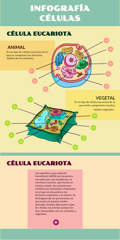 Las Células | Genially