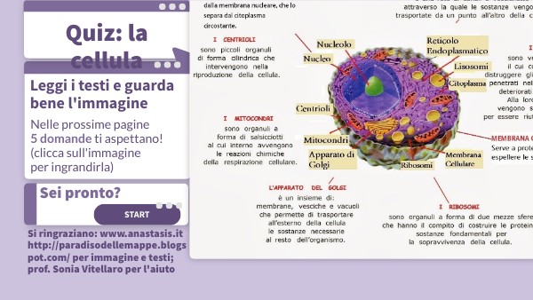PICTURES QUIZ: La cellula