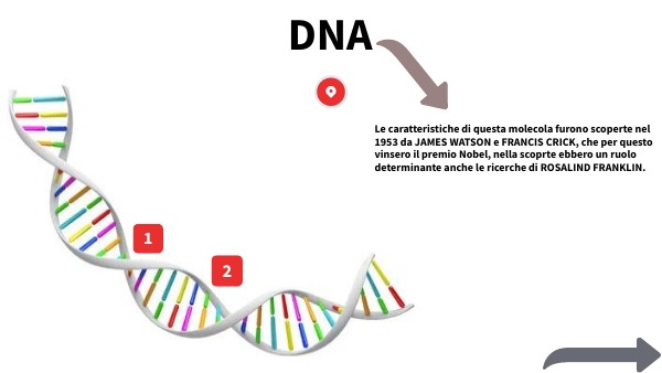 DNA