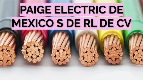 PRESENTACIÓN PAIGE ELECTRIC DE MEXICO | Genially