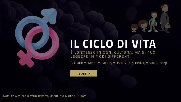 Il Ciclo di Vita