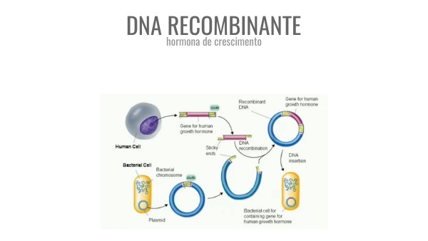 dna recombinante