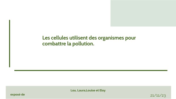 svt exposé | Genially