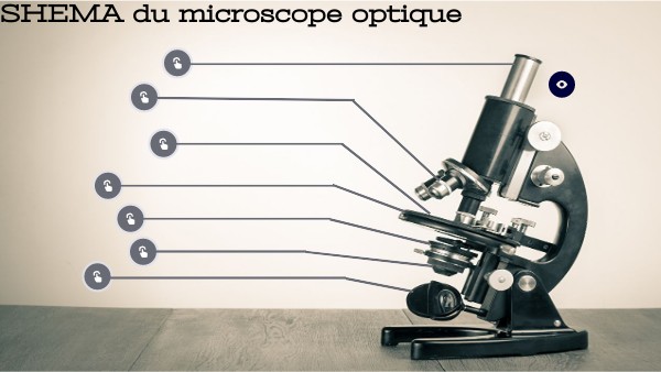 Shéma du microscope optique | Genially