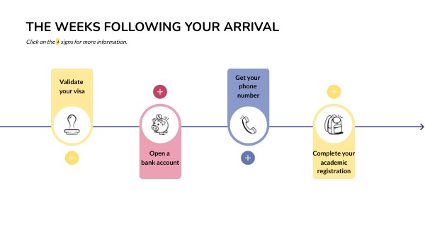 IUM - The weeks following your arrival