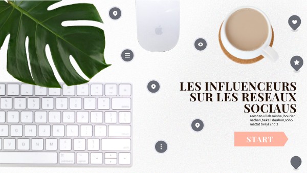 LES INFLUENCEURS SUR LES RESEAUX SOCIAUX