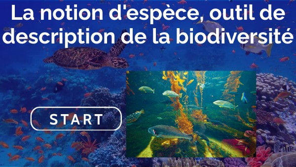 Activité 2 Chap3.A Notion d'espèce | Genially