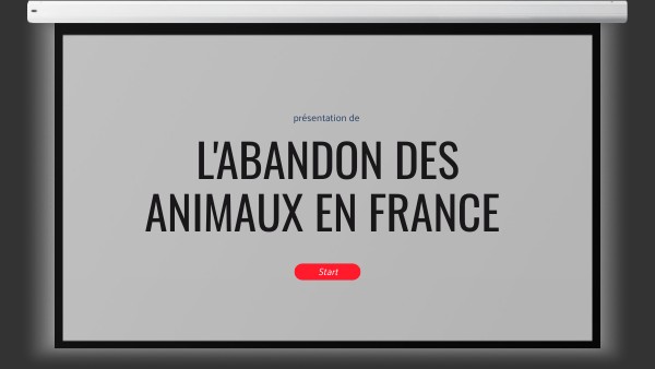 l'abandon des animaux en France