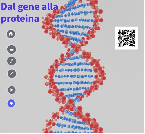 SVM - DAL DNA ALLA PROTEINA | Genially