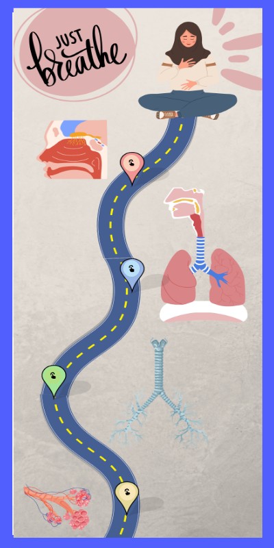 BASIC INFOGRAPHIC | Genially