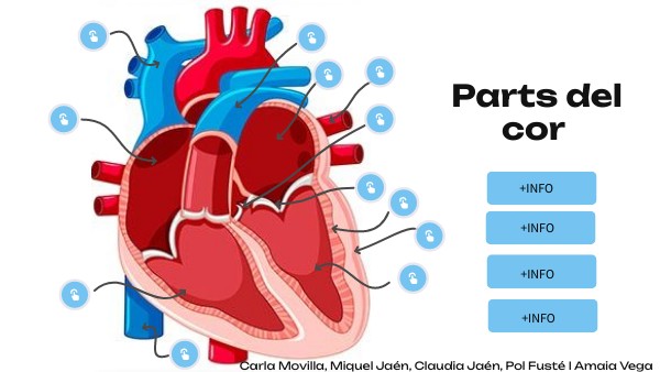 Parts del cor Miquel, Pol, Carla, Claudia i Amaia