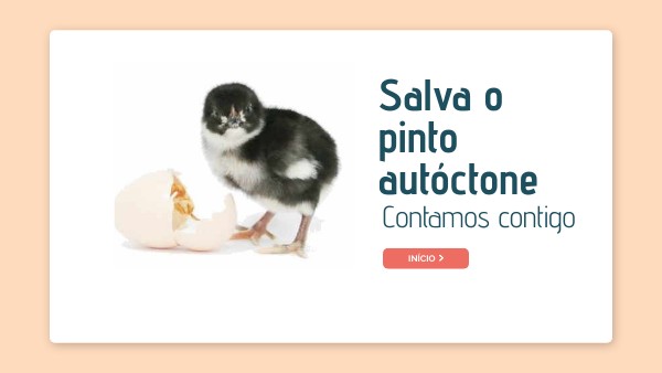 Salva o pinto autóctone | Genially
