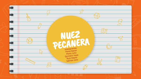 PRESENTACIÓN NUEZ PECANERA