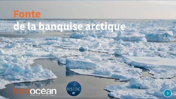 Kit 5 - lycee banquise arctique
